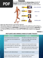 Tissues Class 9 Notes | PDF | Epithelium | Tissue (Biology)