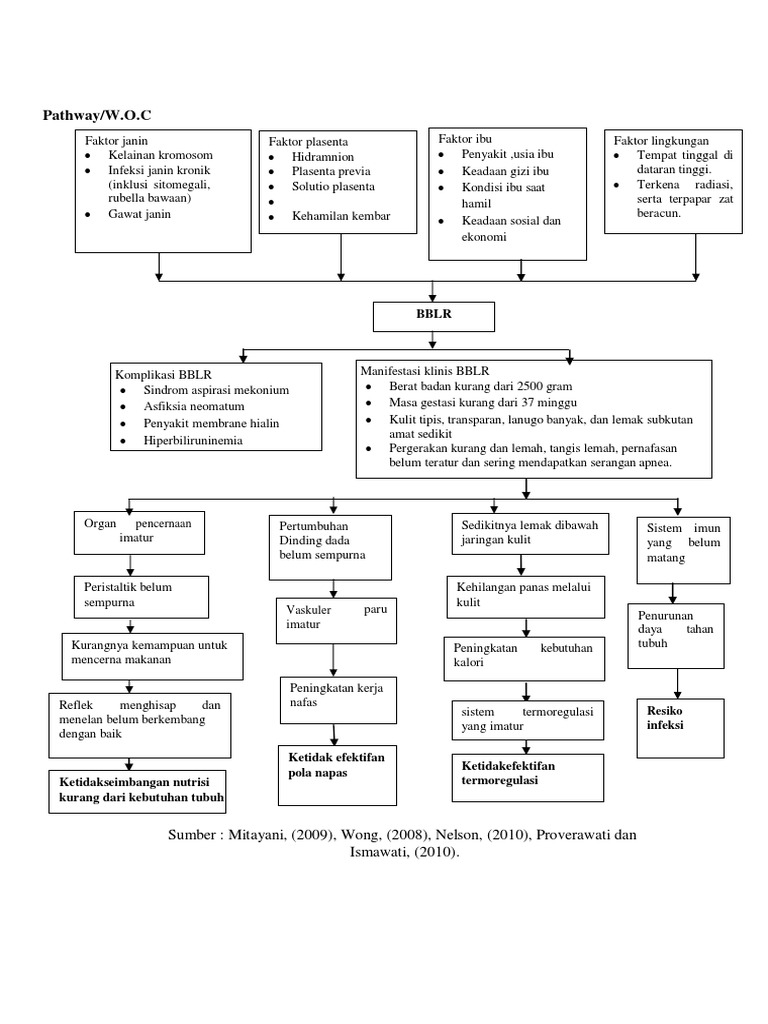 Pathway/W.O.C: Sumber: Mitayani, (2009), Wong, (2008), Nelson, (2010), Proverawati Dan Ismawati ...