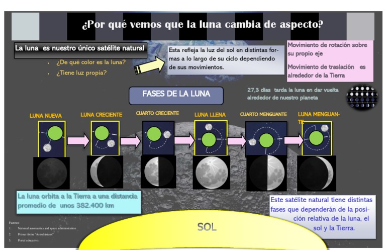 Infografía Fases de La Luna | PDF