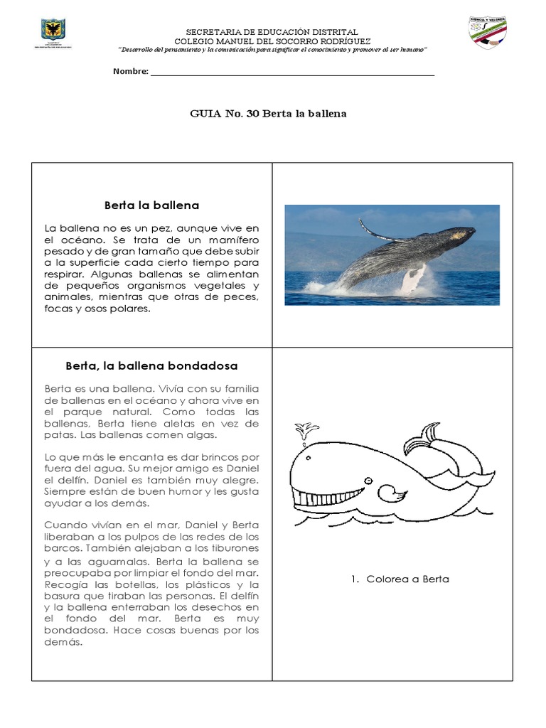 Berta la ballena bondadosa | PDF | Pescado | Organismos