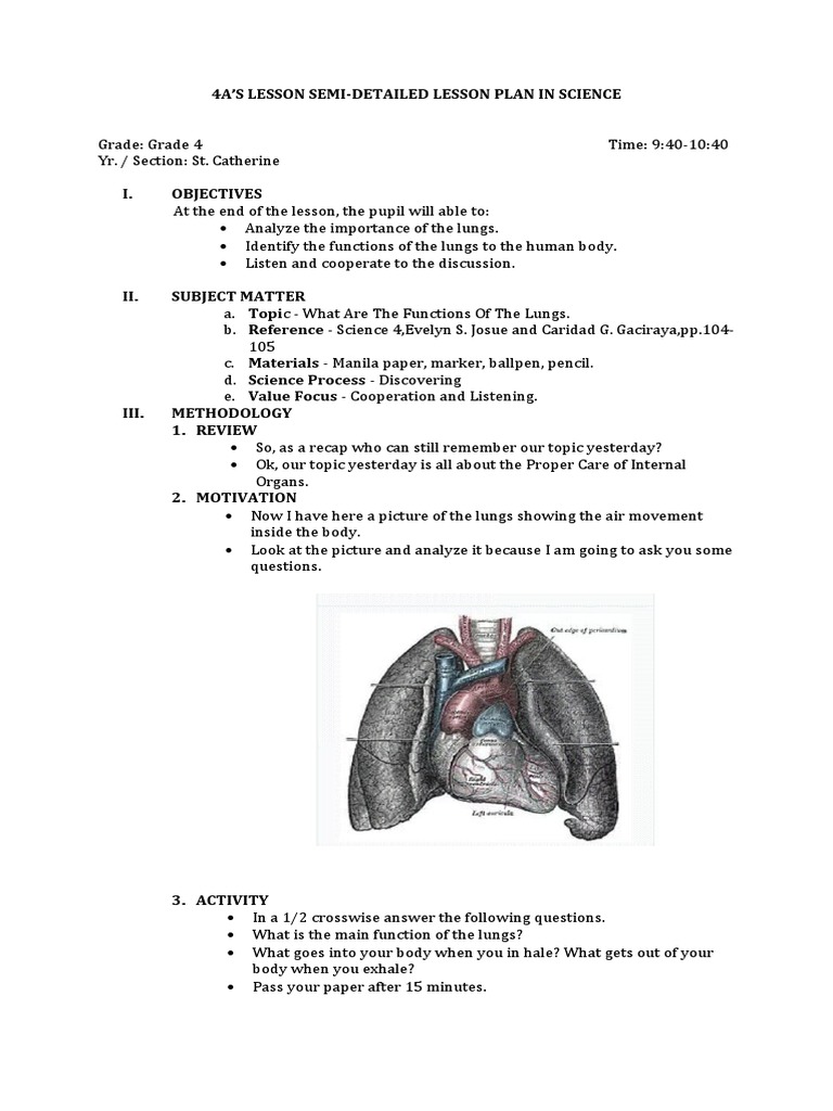 4A'S Lesson Semi-Detailed Lesson Plan in Science | PDF | Lung | Exhalation