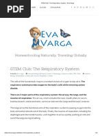 PF Ratio and How To Calculate PaO2FIO2 Pinson & Tang | PDF | Physiology ...