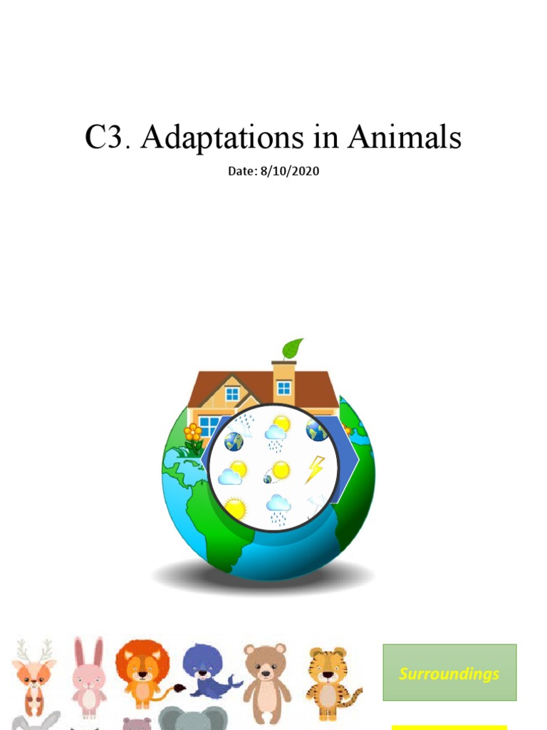 C3 Adaptations in Animals Part 1 | PDF | Vertebrates | Reptile
