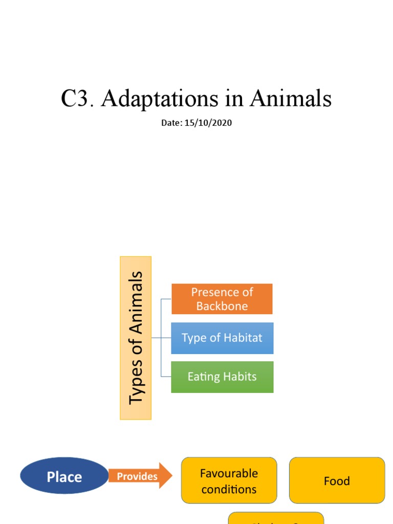 C3 Adaptations in Animals Part 2 | PDF