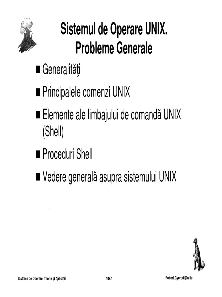 Sistemul UNIX PDF | PDF