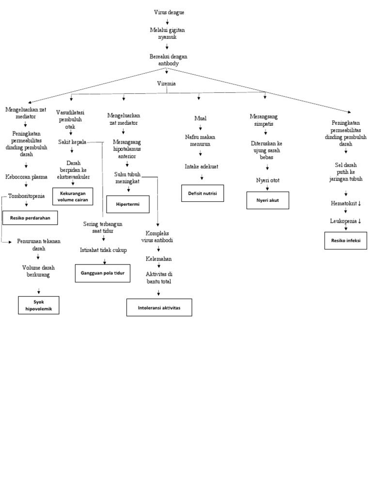 Pathway dhf-1 | PDF