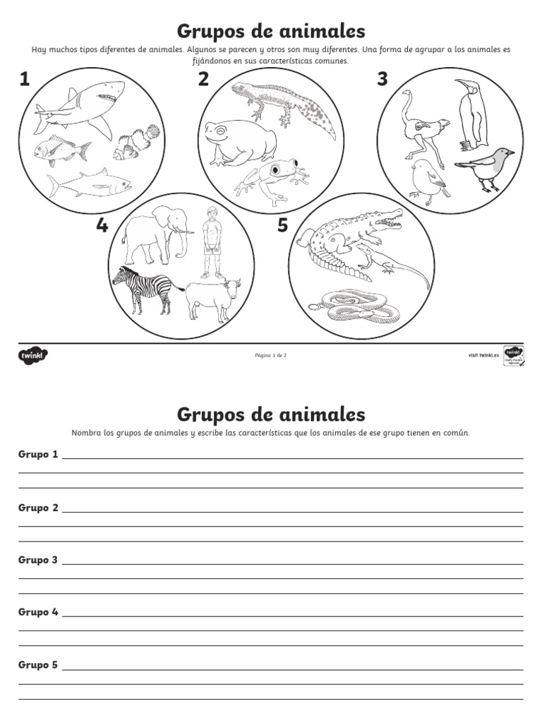 Agrupando animales por sus características | PDF