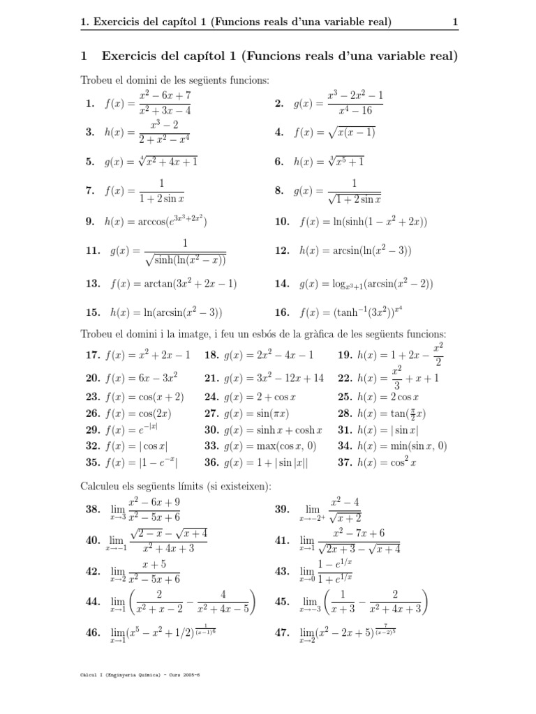 Exercicis Funcions Reals - Càlcul | PDF
