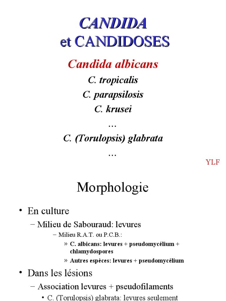 Morphologie et Traitement des Candidoses | PDF | Candidose | Candida