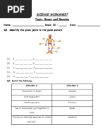 Year 8 Science End of Term 2 Exam | PDF