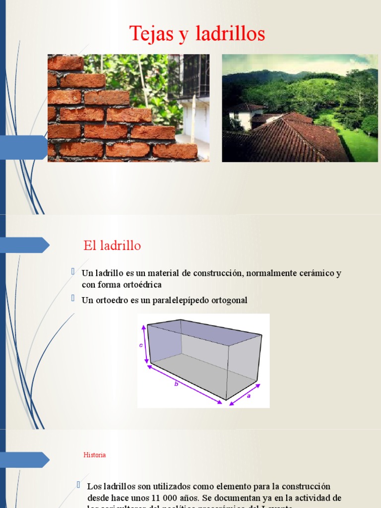 Tejas y Ladrillos: Historia y Tipos | PDF | Ladrillo | Edificio sustentable