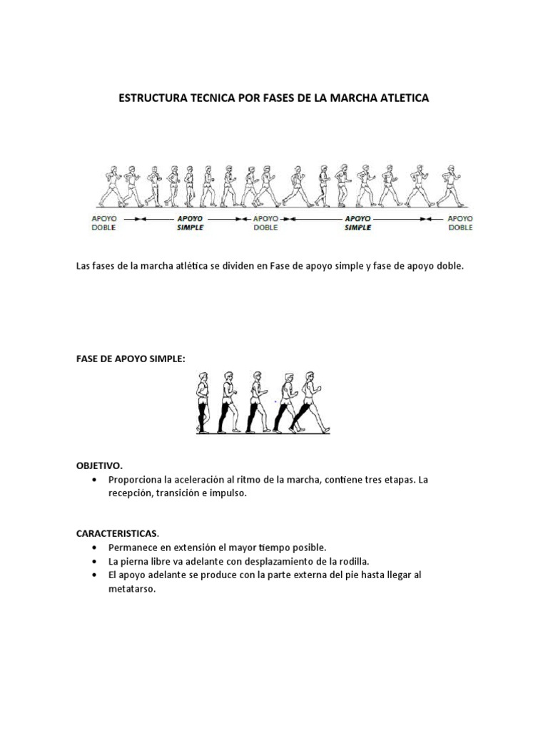 Estructura Tecnica Por Fases de La Marcha Atletica | PDF