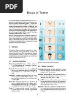 Estadios Tanner PDF | PDF