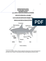 Clasificación y características de condrictios | PDF | Vertebrados ...