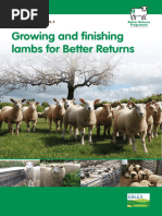 Practical Guide to Intensive Sheep Farming | PDF | Sheep | Fetus