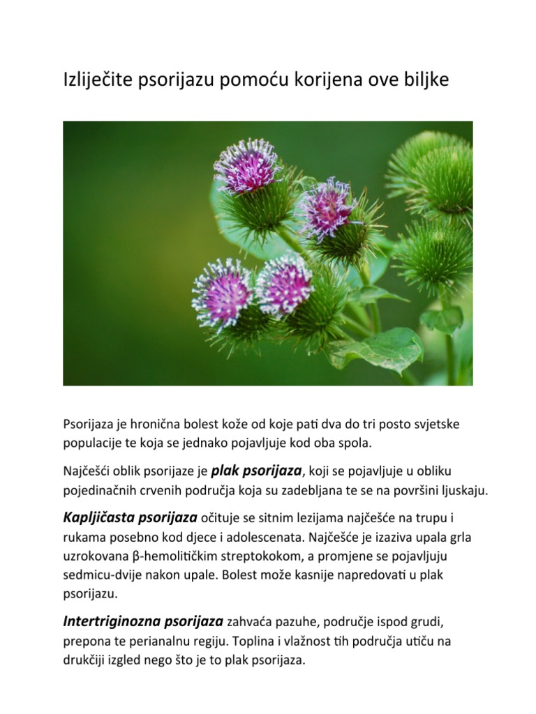 Izliječite Psorijazu Pomoću Korijena Ove Biljke | PDF
