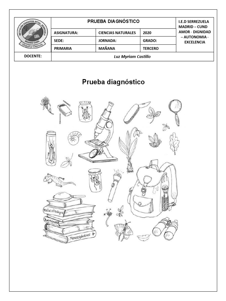 Prueba Diagnostico Grado 3° - Ciencias Naturales | PDF | Invertebrado ...