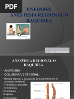 Anestesia Raquídea: Técnica y Complicaciones | PDF | Fluido ...