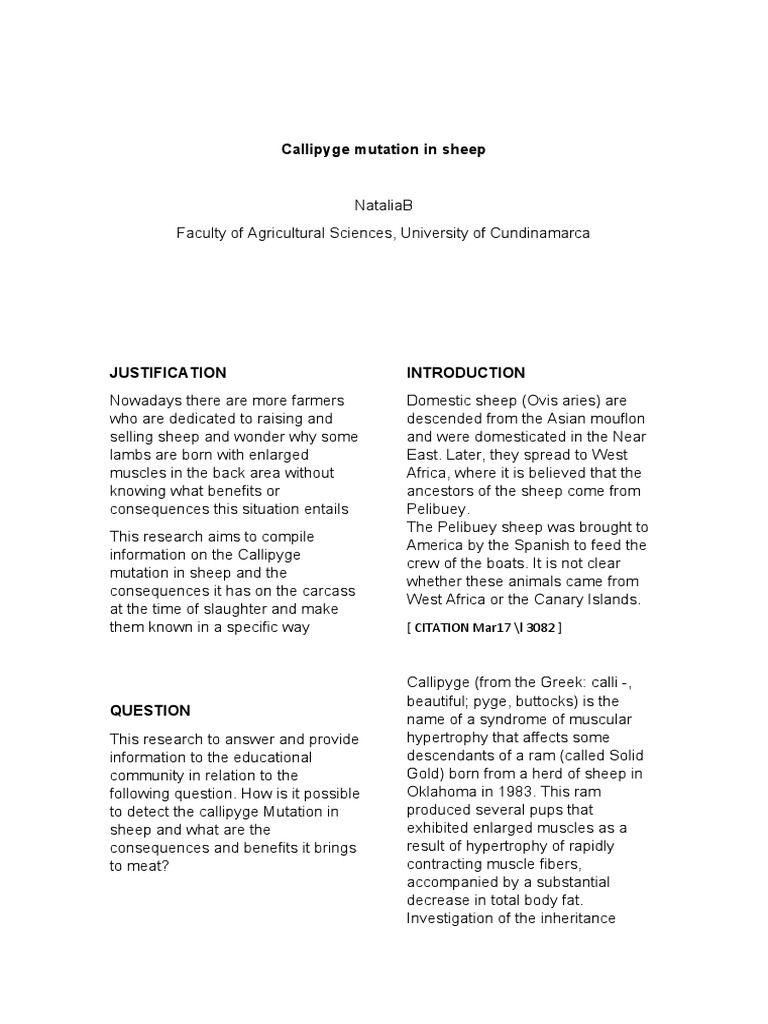 Callipyge Mutation in Sheep: (CITATION Mar17 /L 3082) | PDF | Sheep ...