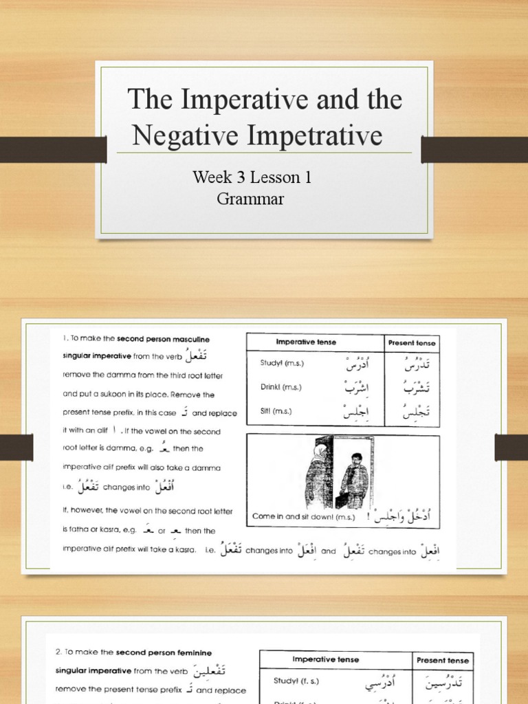 The Imperative and The Negative Impetrative | PDF