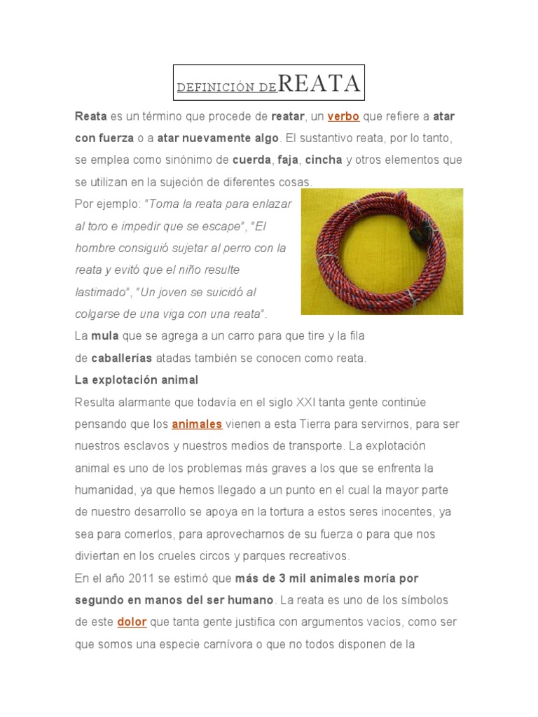 Definición de Reata | PDF