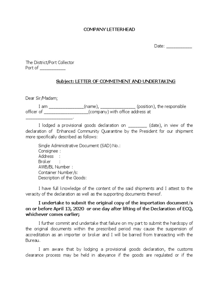 Letter of Undertaking | PDF