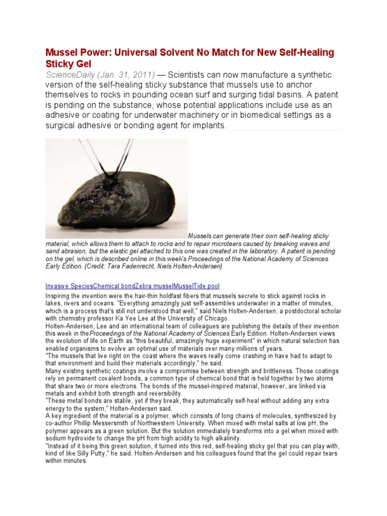 Mussel Power | PDF | Chemical Bond | Metals