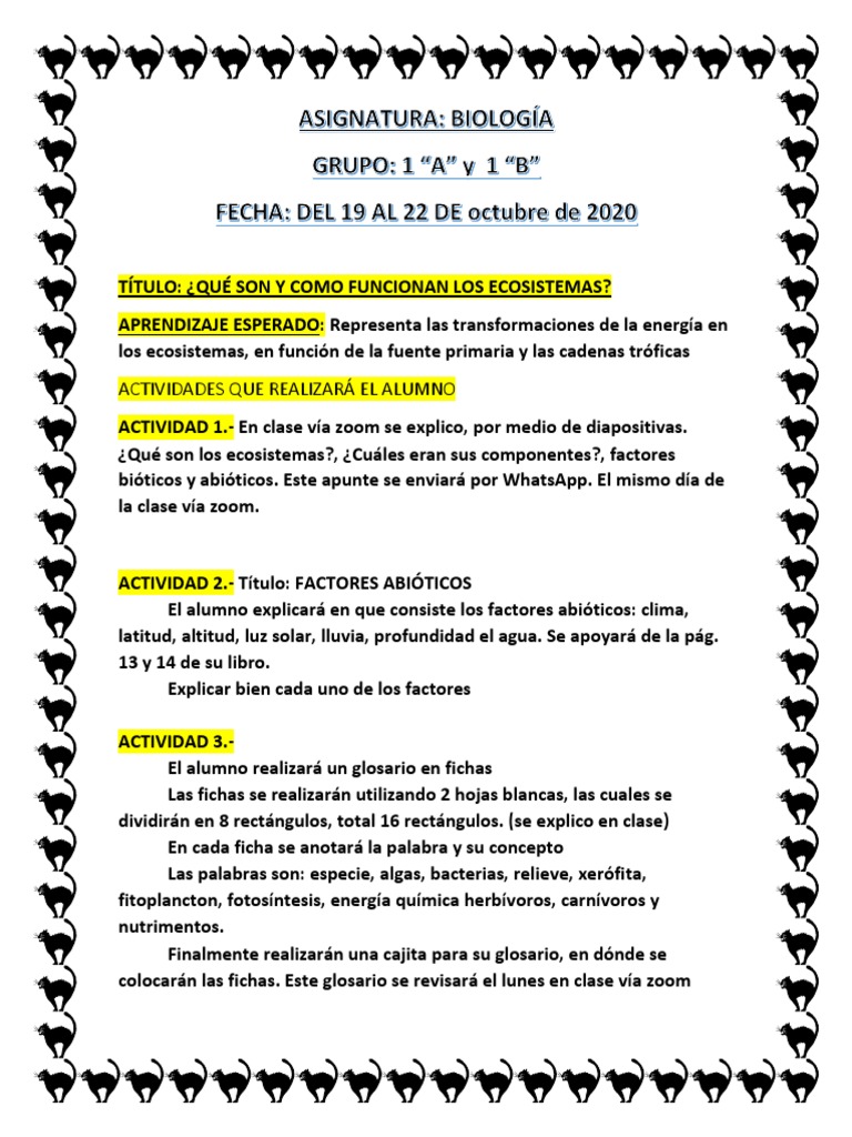 Ciencias 19 Oct PDF | PDF