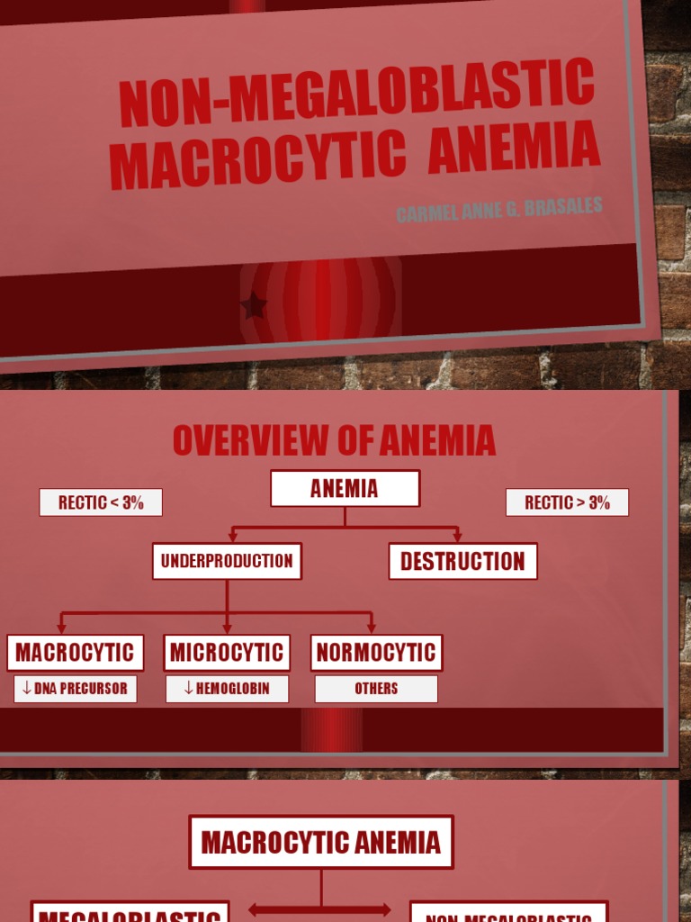 Non-Megaloblastic Macrocytic Anemia: Carmel Anne G. Brasales | PDF ...