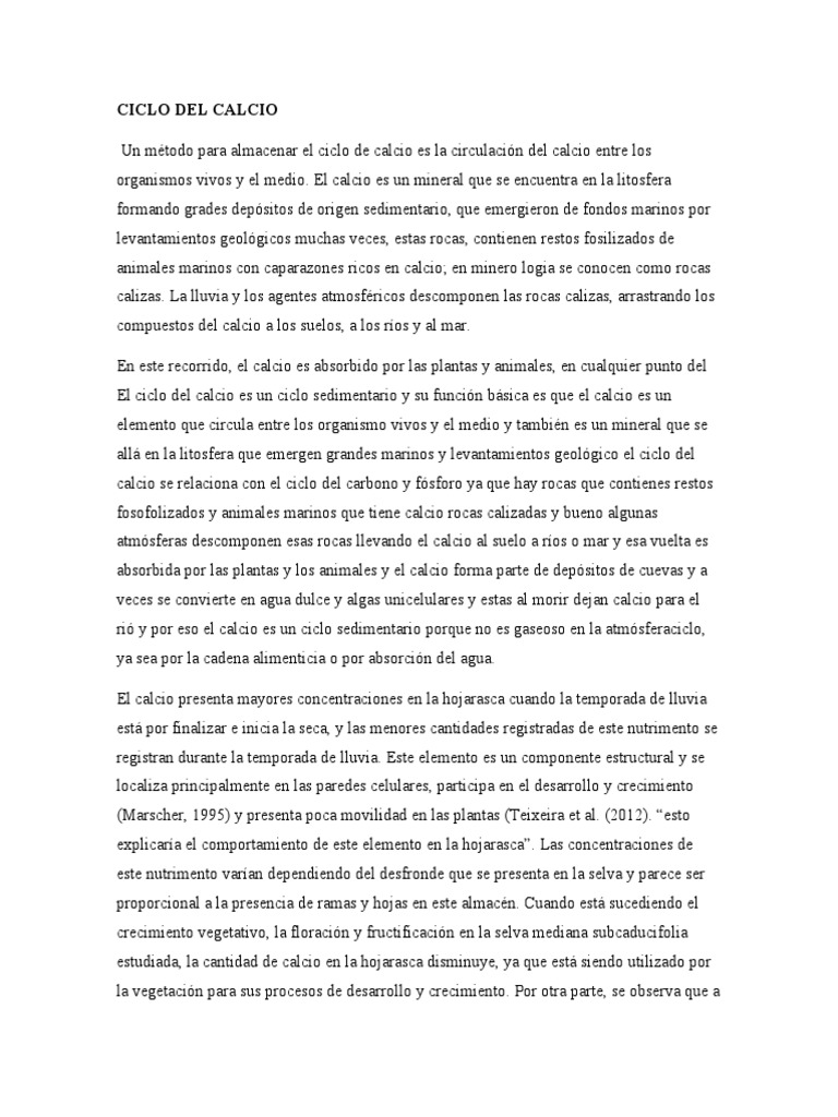 Ciclo Del Calcio | PDF | Calcio | Roca (geología)