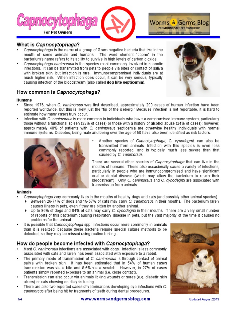 What Is Capnocytophaga?: For Pet Owners | PDF | Infection ...