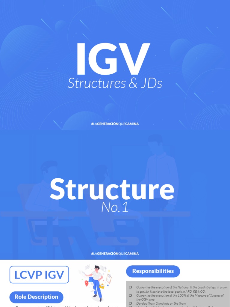 LCVP IGV Structure 20.2 | PDF | Sales | Business