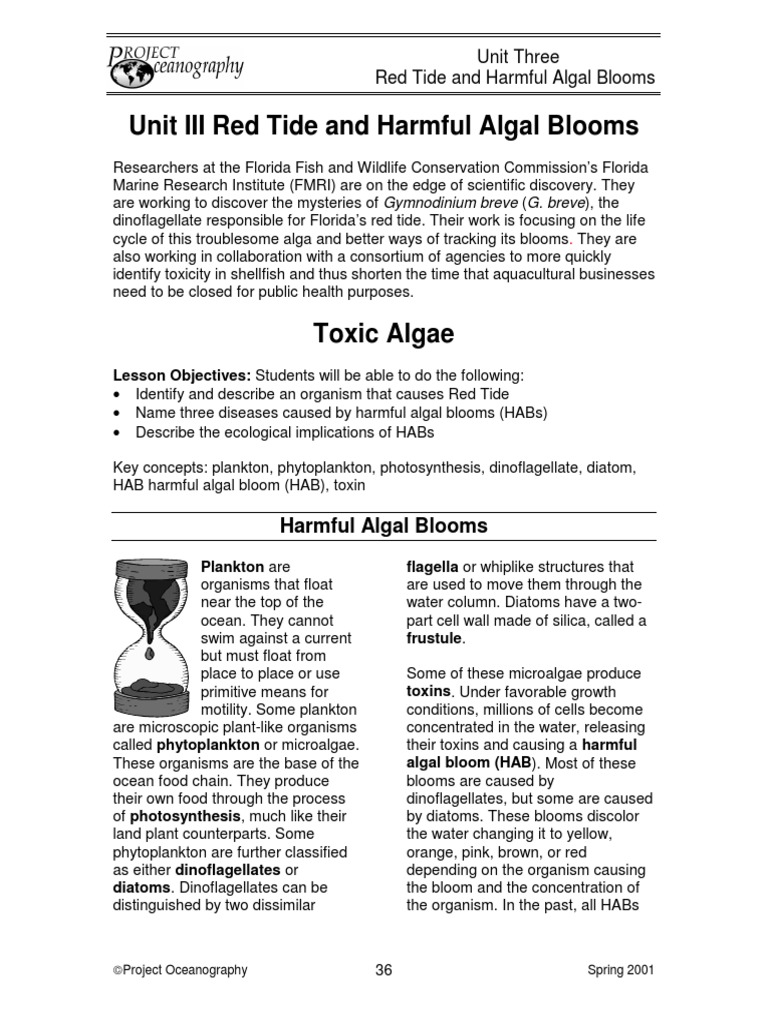 Understanding Red Tide and Harmful Algal Blooms | PDF | Hydrography ...