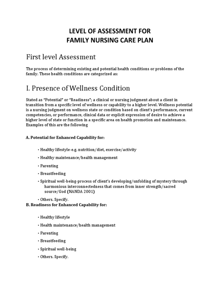 Family Nursing Care Assessment Guide | PDF | Risk | Disability