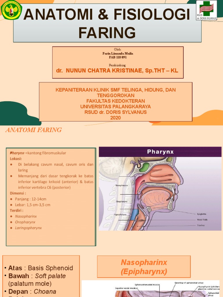 Anatomi dan Fisiologi Faring | PDF