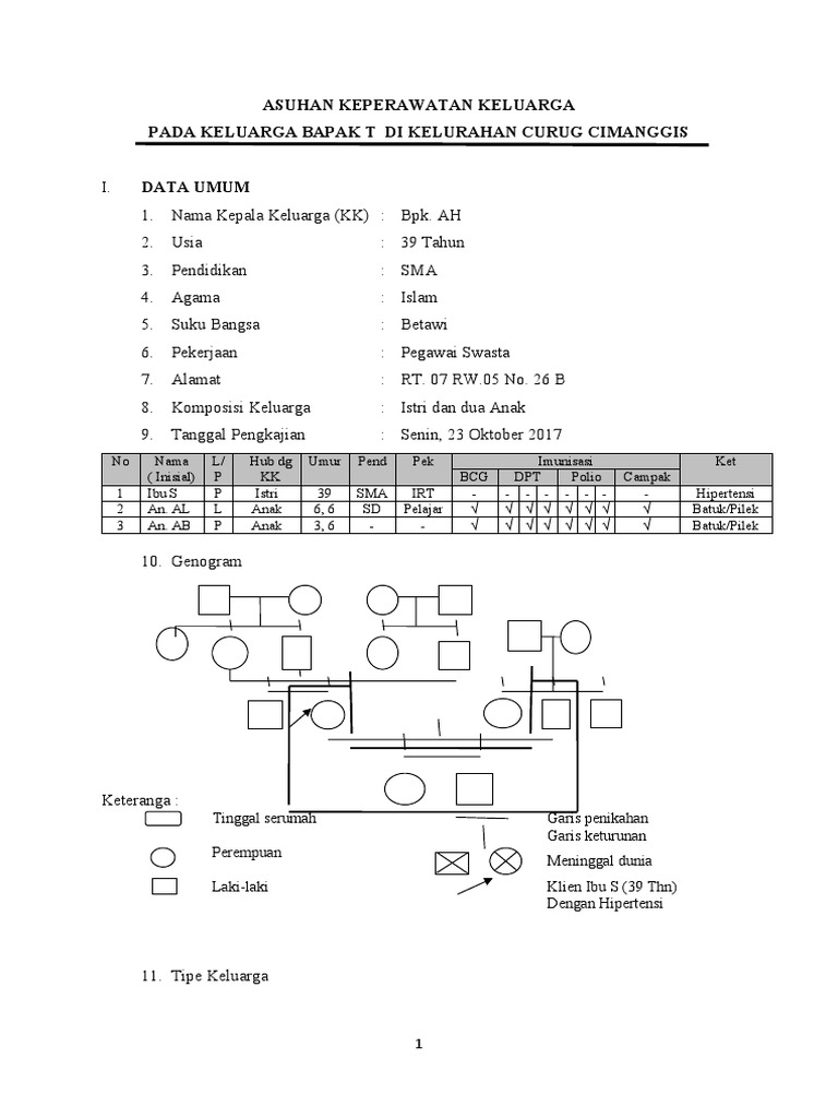 Contoh Pengisian Asuhan Keperawatan Keluarga | PDF
