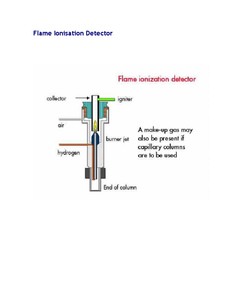 Flame Ionisation Detector | PDF