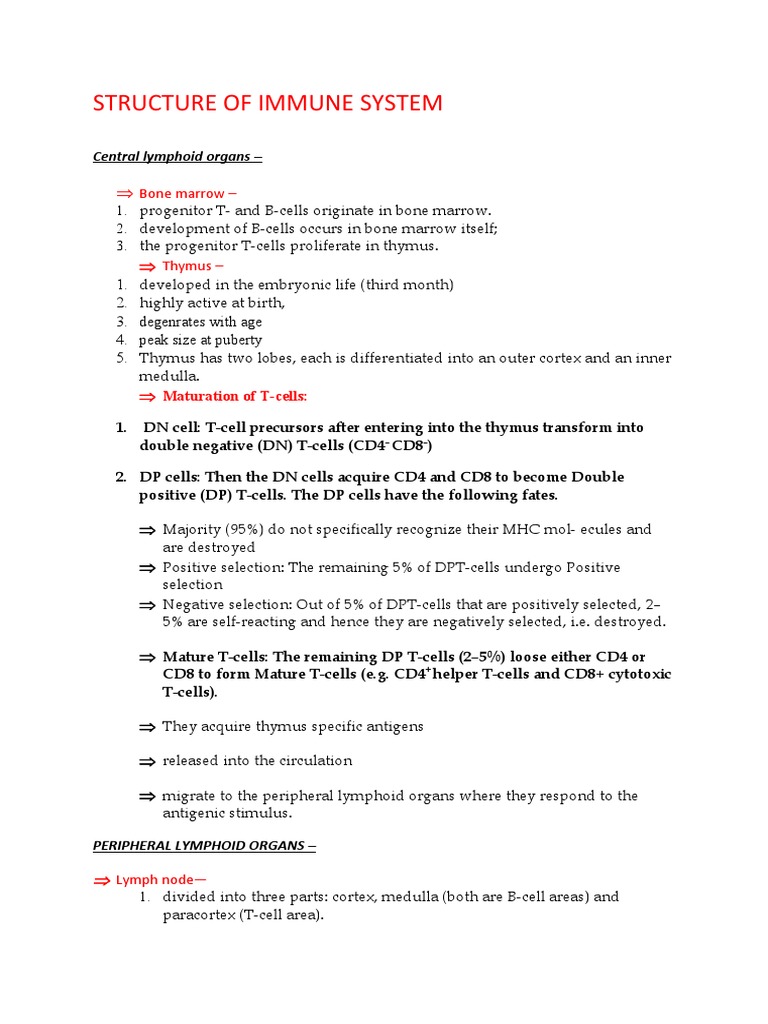 Structure of Immune System | PDF | T Cell | Major Histocompatibility ...