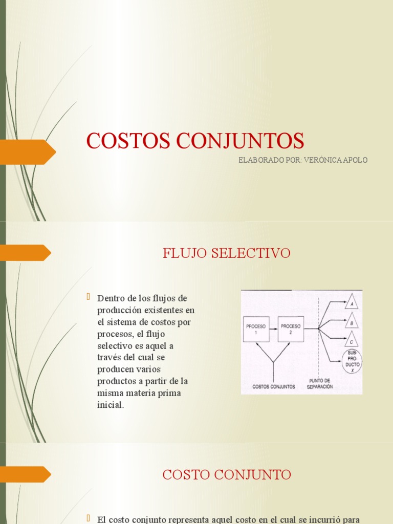 Costos Conjuntos | PDF