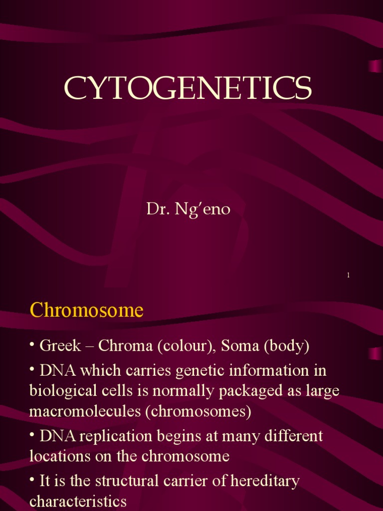 Cytogenetics Presentation | PDF