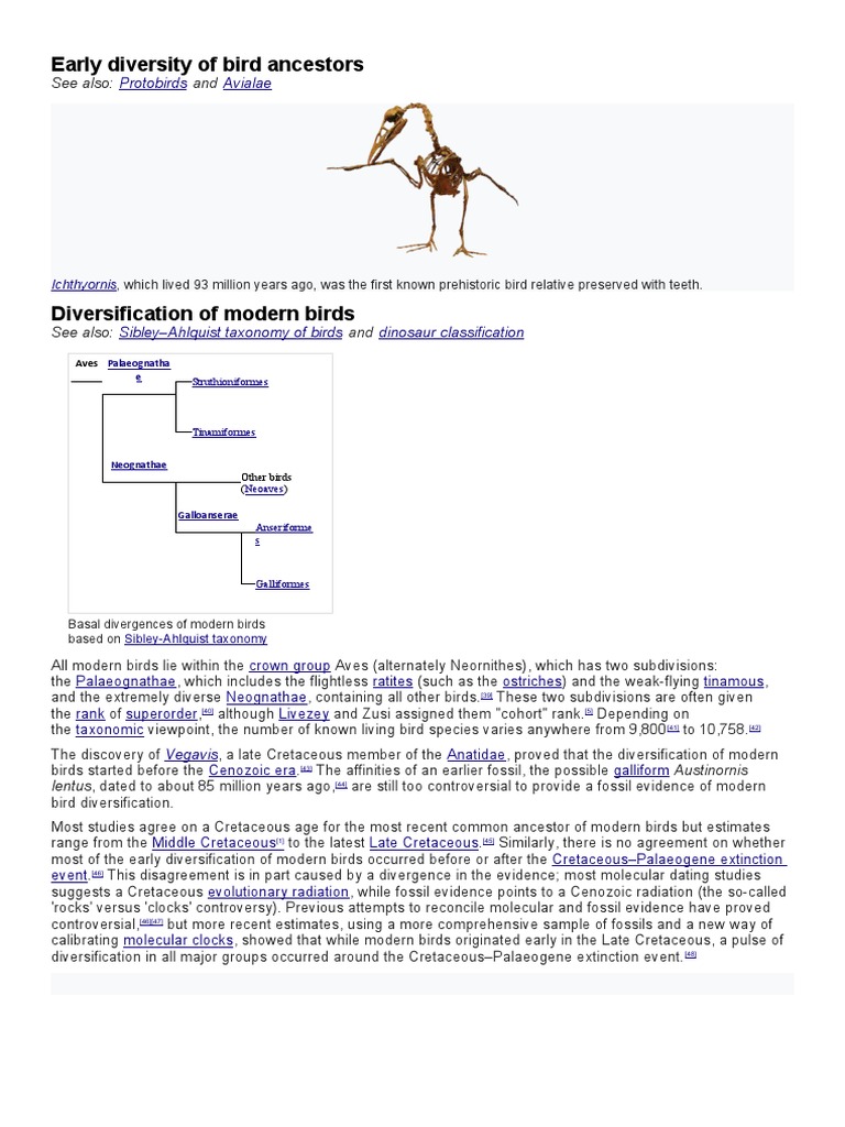 Early Diversity of Bird Ancestors: Protobirds Avialae | PDF | Birds ...