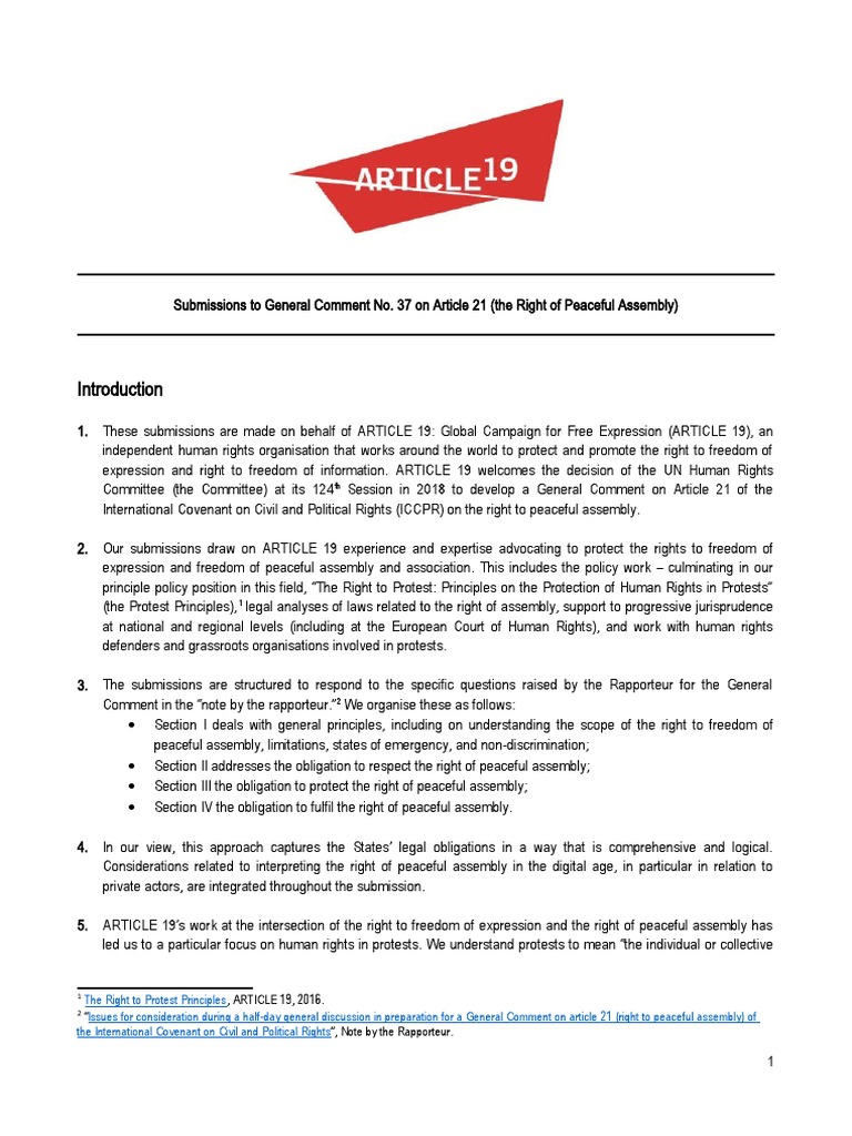 ARTICLE 19, 2016. " ", Note by The Rapporteur | PDF | State Of ...