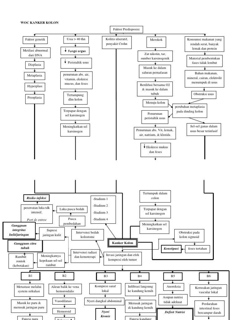 Woc Kanker Kolon Fix | PDF