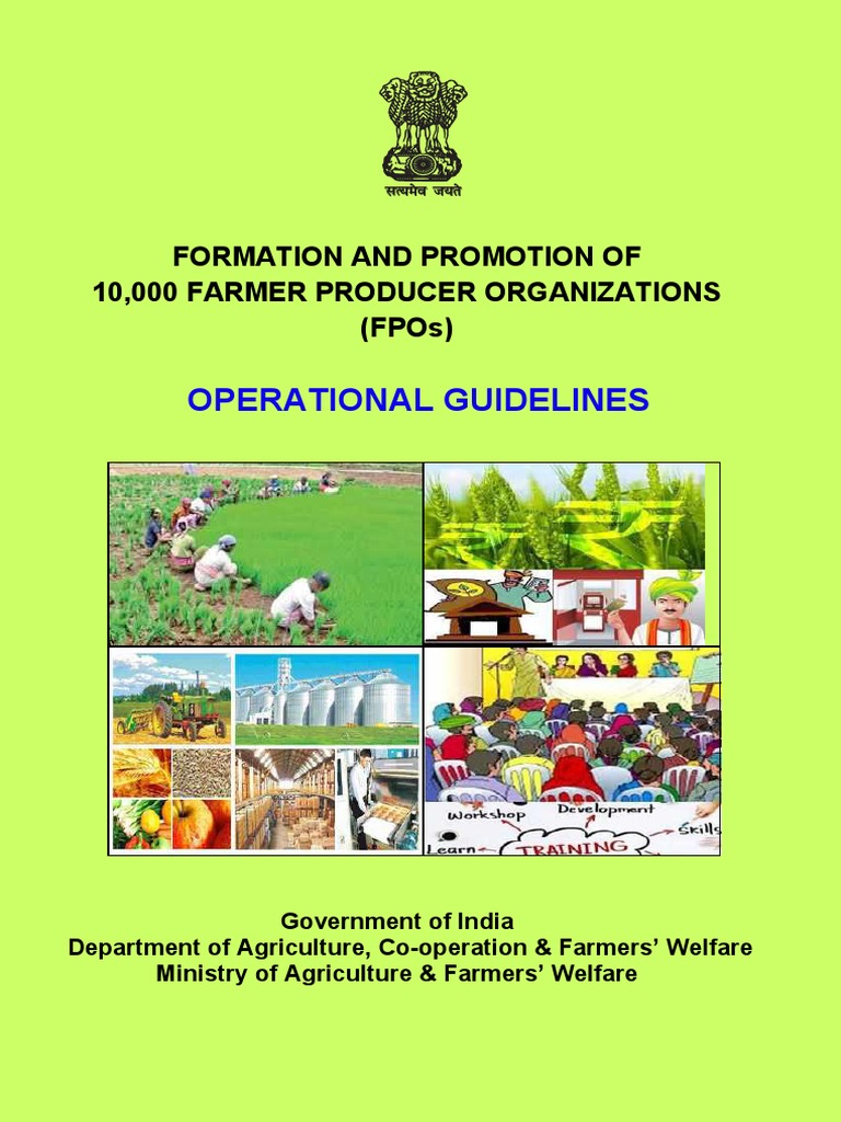 FPO Formation and Promotion Guidelines | PDF | Sustainability | Agriculture