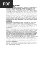 Caracteristicas Del Floklore Peruano | PDF | Folklore | Imperio Inca