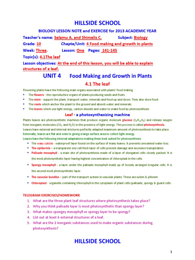 Grade 10 Biology Wk3 PDF | PDF | Photosynthesis | Leaf