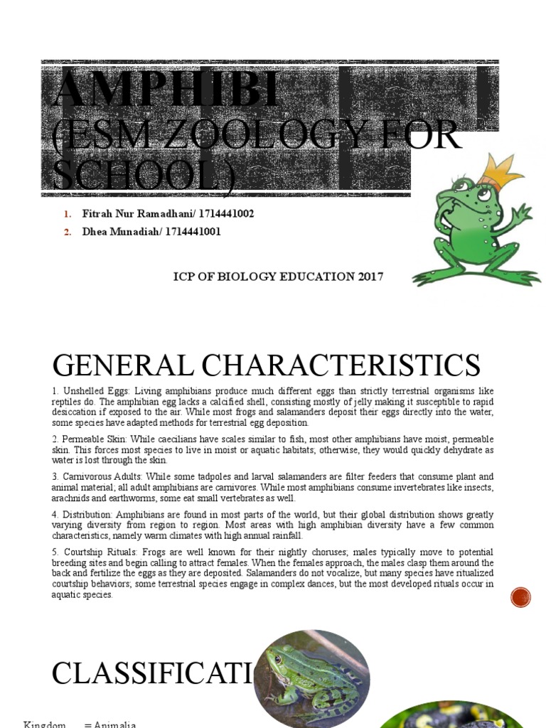 Amphibians Group | PDF | Amphibian | Frog