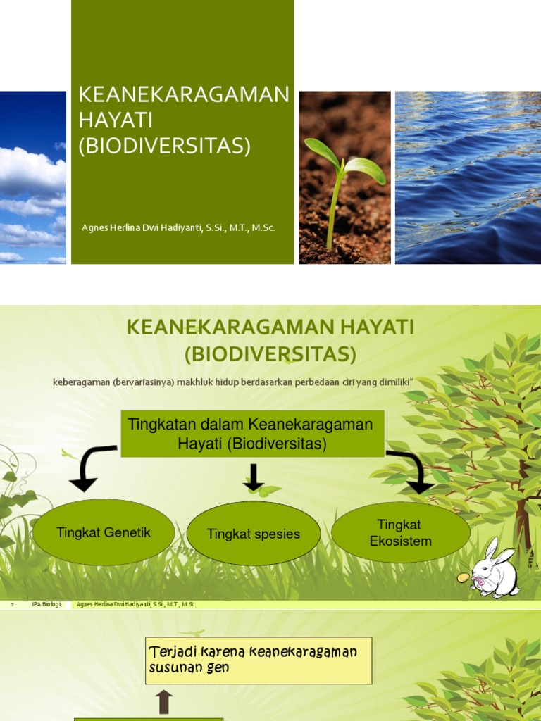 Tingkatan Biodiversitas | PDF