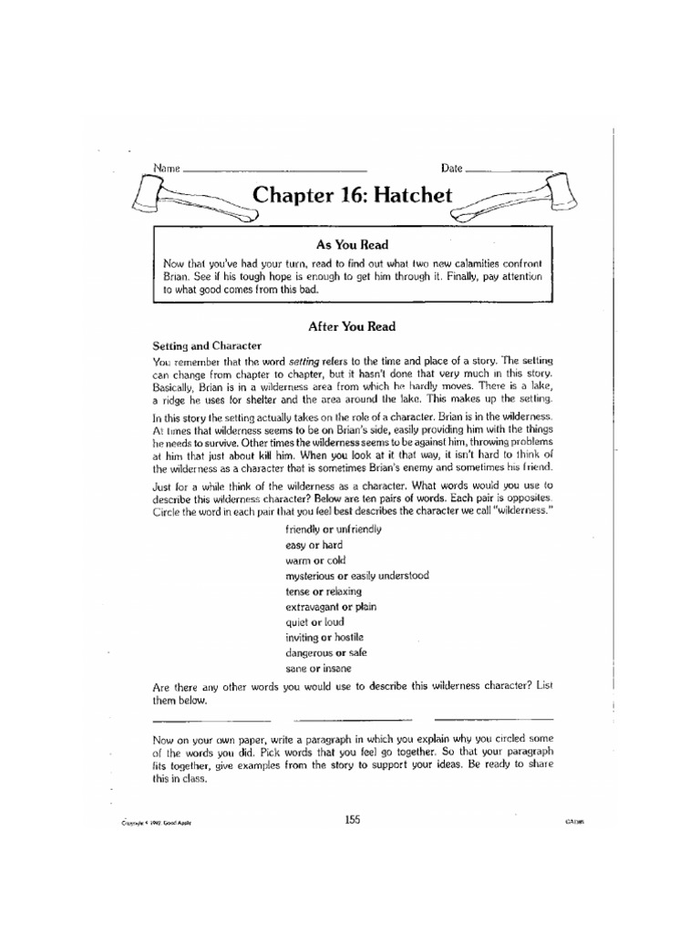 Hatchet - Chapter 16 - 19 | PDF