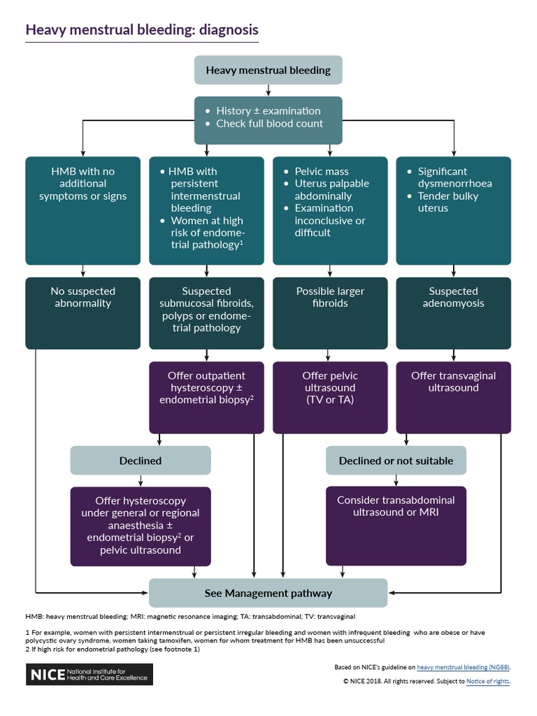 Diagnosis Care Pathway Menorrhagia | PDF